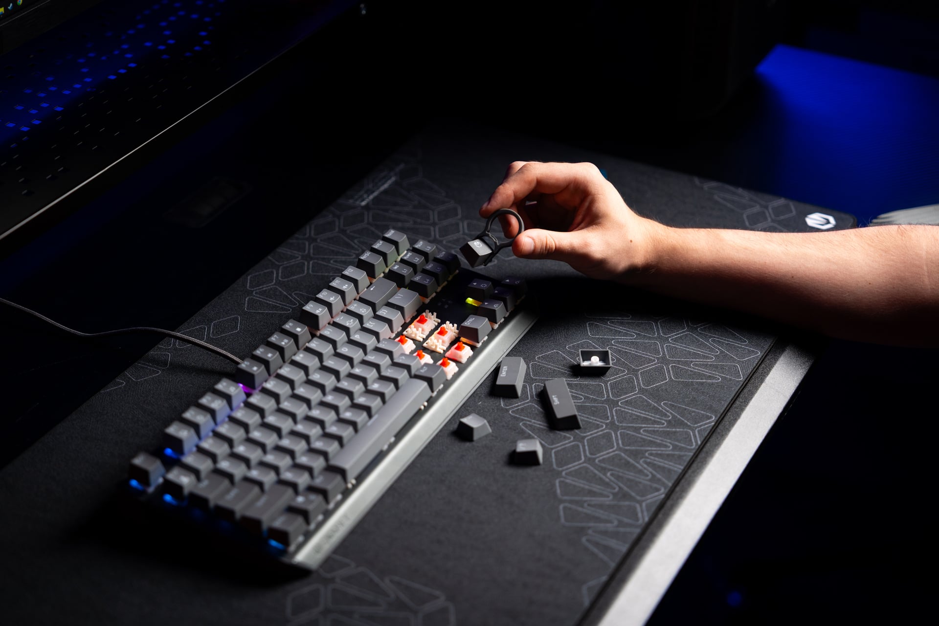 Thock V2 TKL → ENDORFY