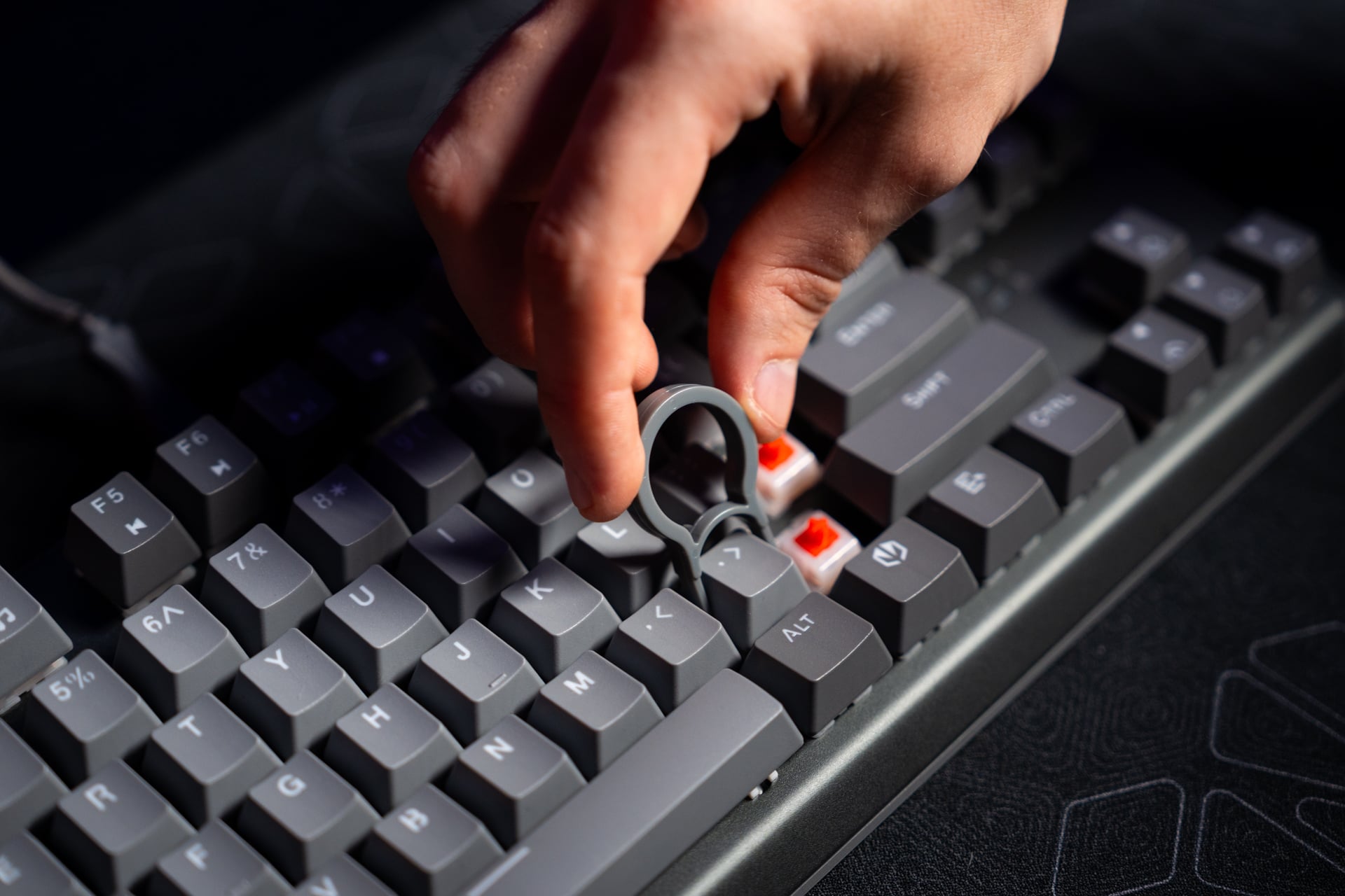 Thock V2 TKL → ENDORFY